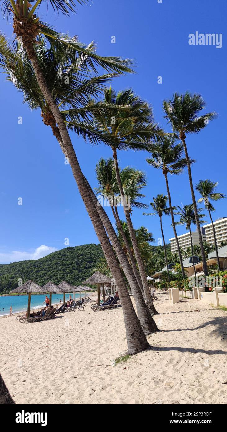 Whitehaven beach facts hi-res stock photography and images - Alamy