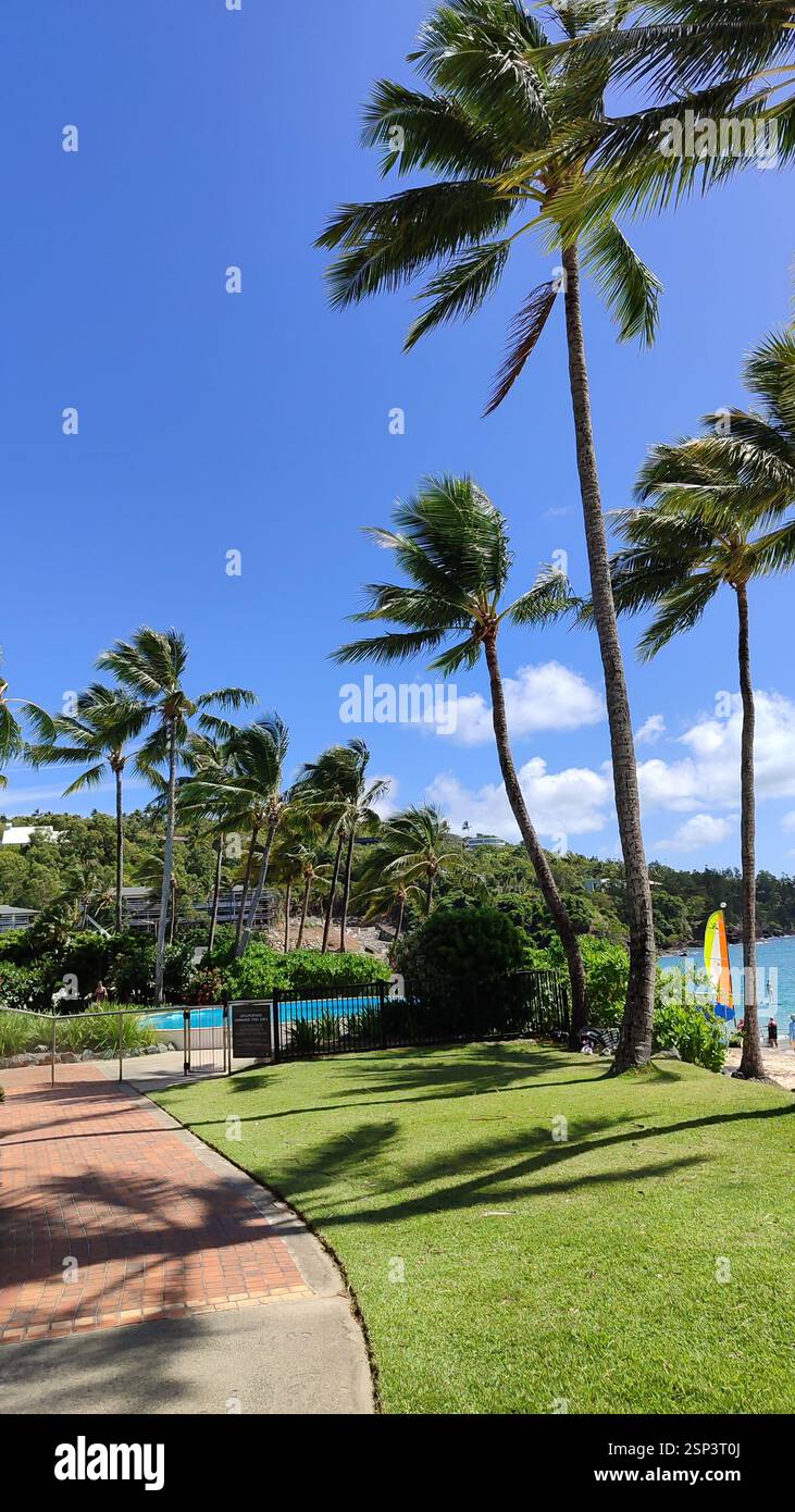 Hamilton Island haven: turquoise water shimmers on the horizon ...