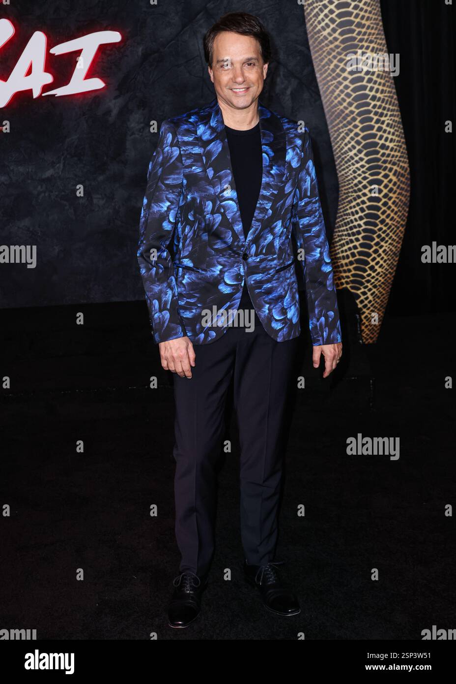 HOLLYWOOD, LOS ANGELES, CALIFORNIA, USA - FEBRUARY 12: Ralph Macchio ...