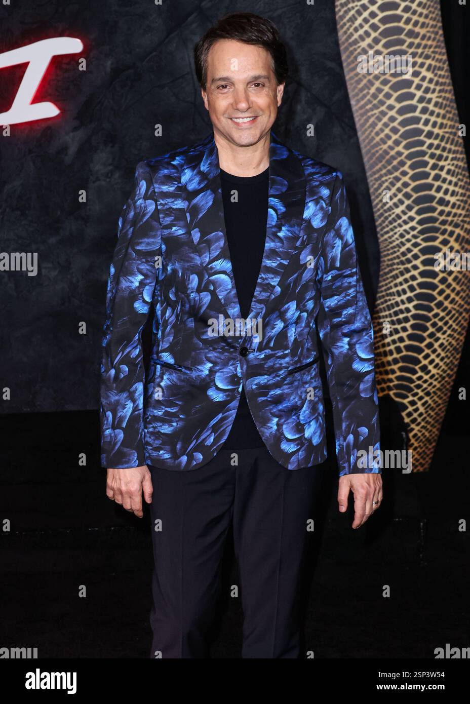 HOLLYWOOD, LOS ANGELES, CALIFORNIA, USA - FEBRUARY 12: Ralph Macchio ...