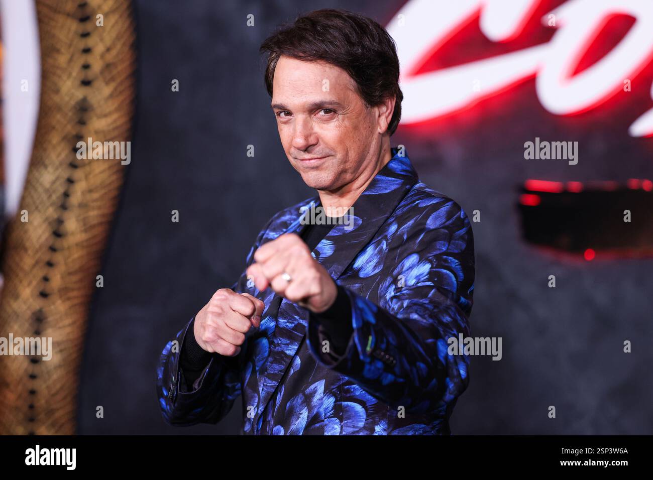 HOLLYWOOD, LOS ANGELES, CALIFORNIA, USA - FEBRUARY 12: Ralph Macchio ...
