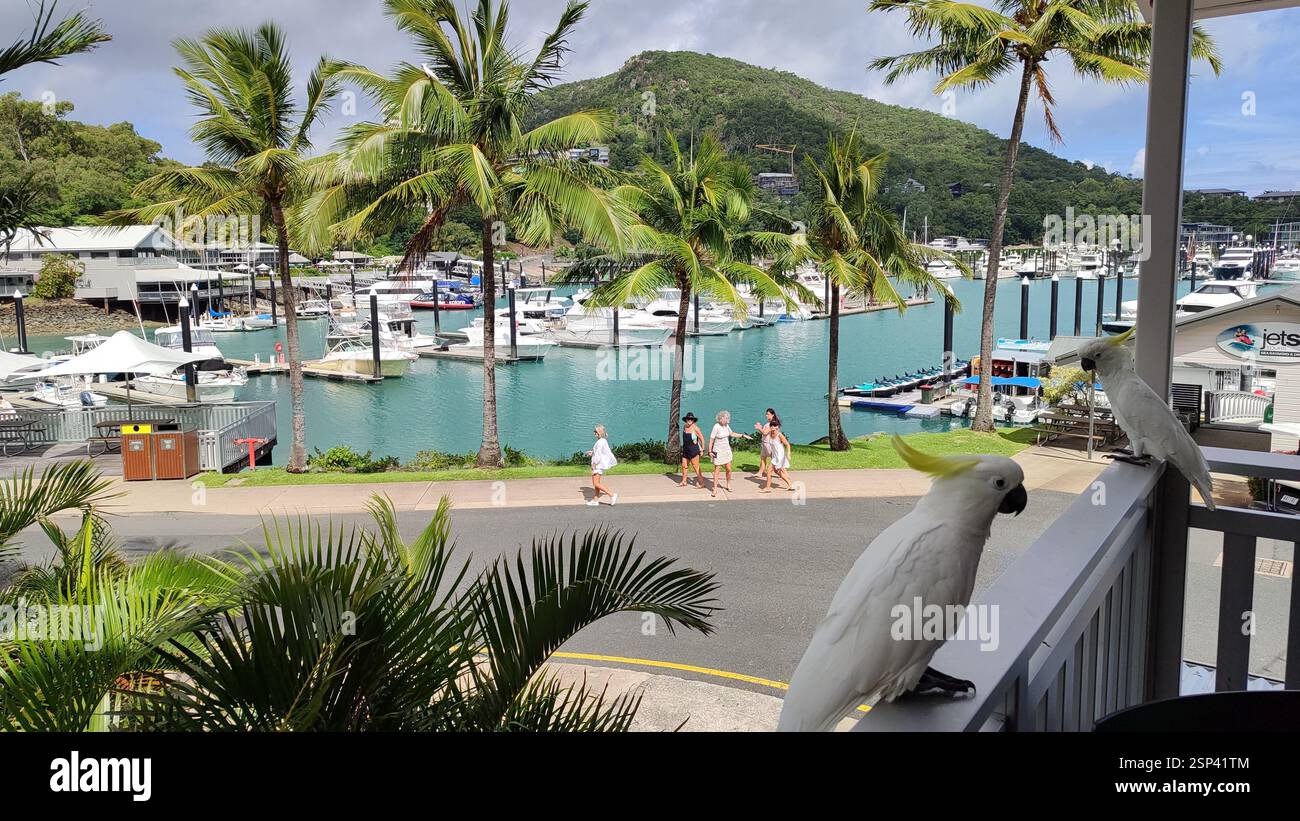 Hamilton Island is a stunning tourist resort with a marina and lush ...