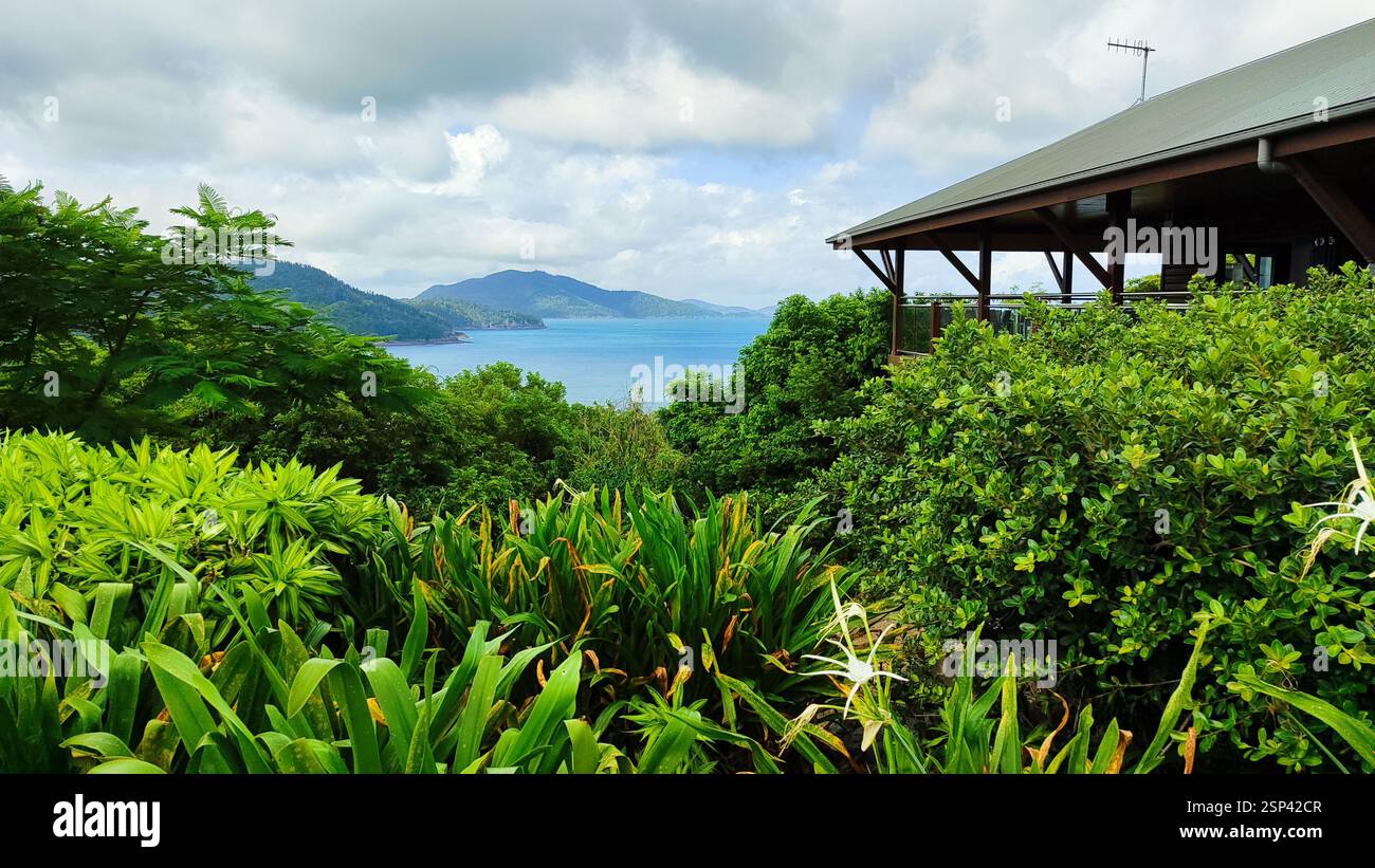 A house on stilts stands amidst a jungle, offering a glimpse of the ...