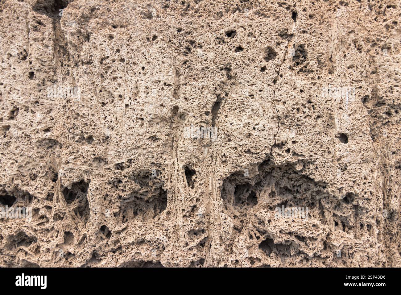 A detailed natural rock surface showcasing complex erosion patterns ...