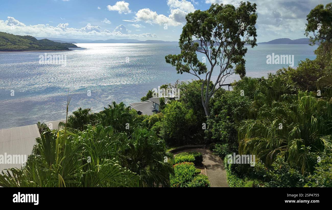 Tropical island view. Lush green trees line a white sand beach with ...