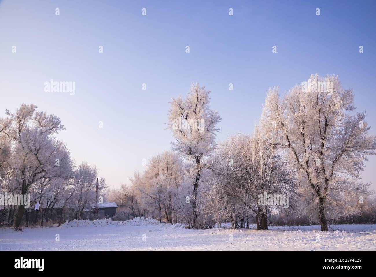 Rime scenery in Jilin City, northeast China's Jilin Province, 11 ...