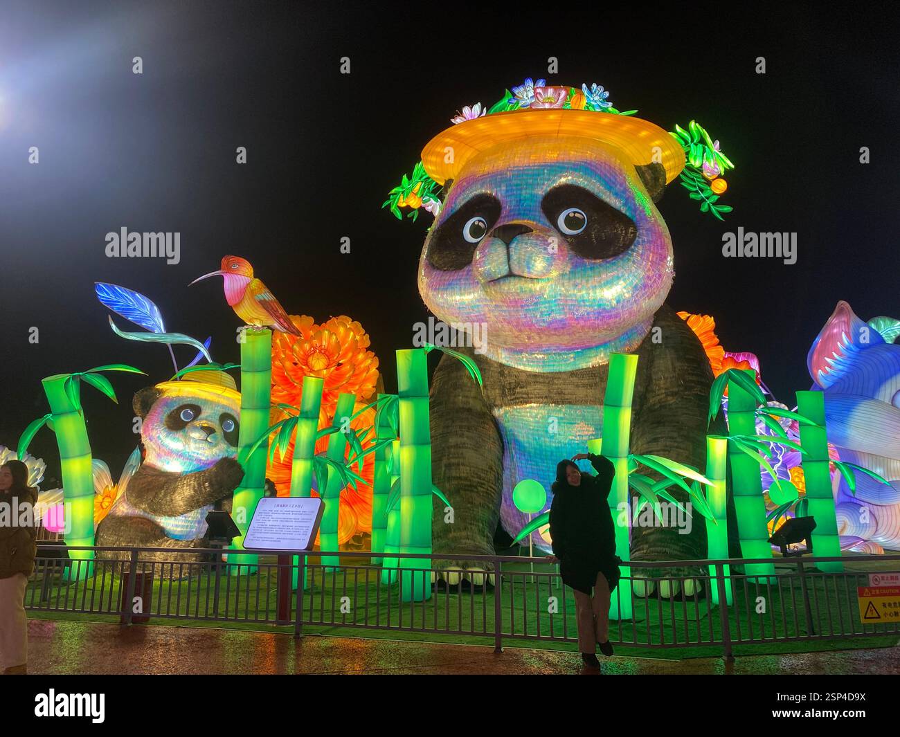 Chengdu. 26th Jan, 2025. This photo taken on Jan. 26, 2025 shows a set ...