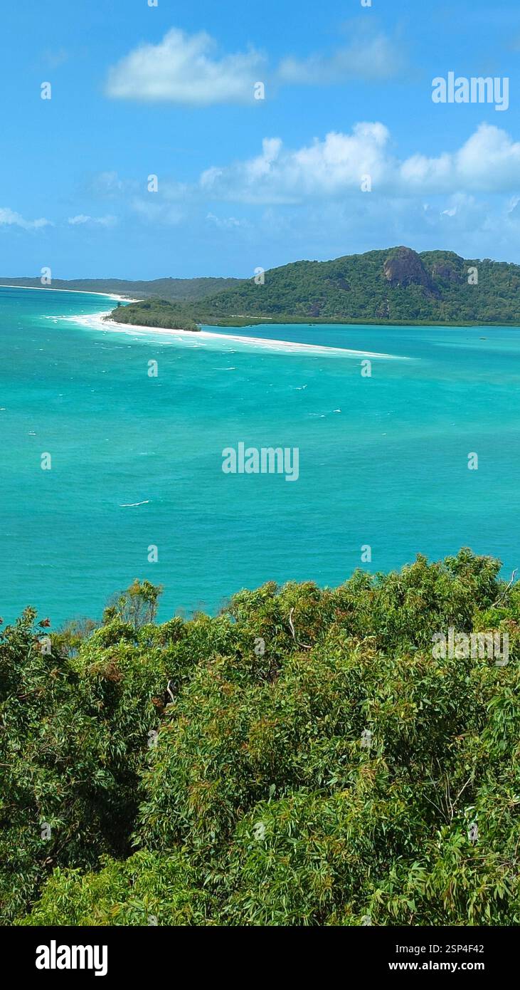 Tropical island paradise on Hamilton Island. Lush green forest meets ...