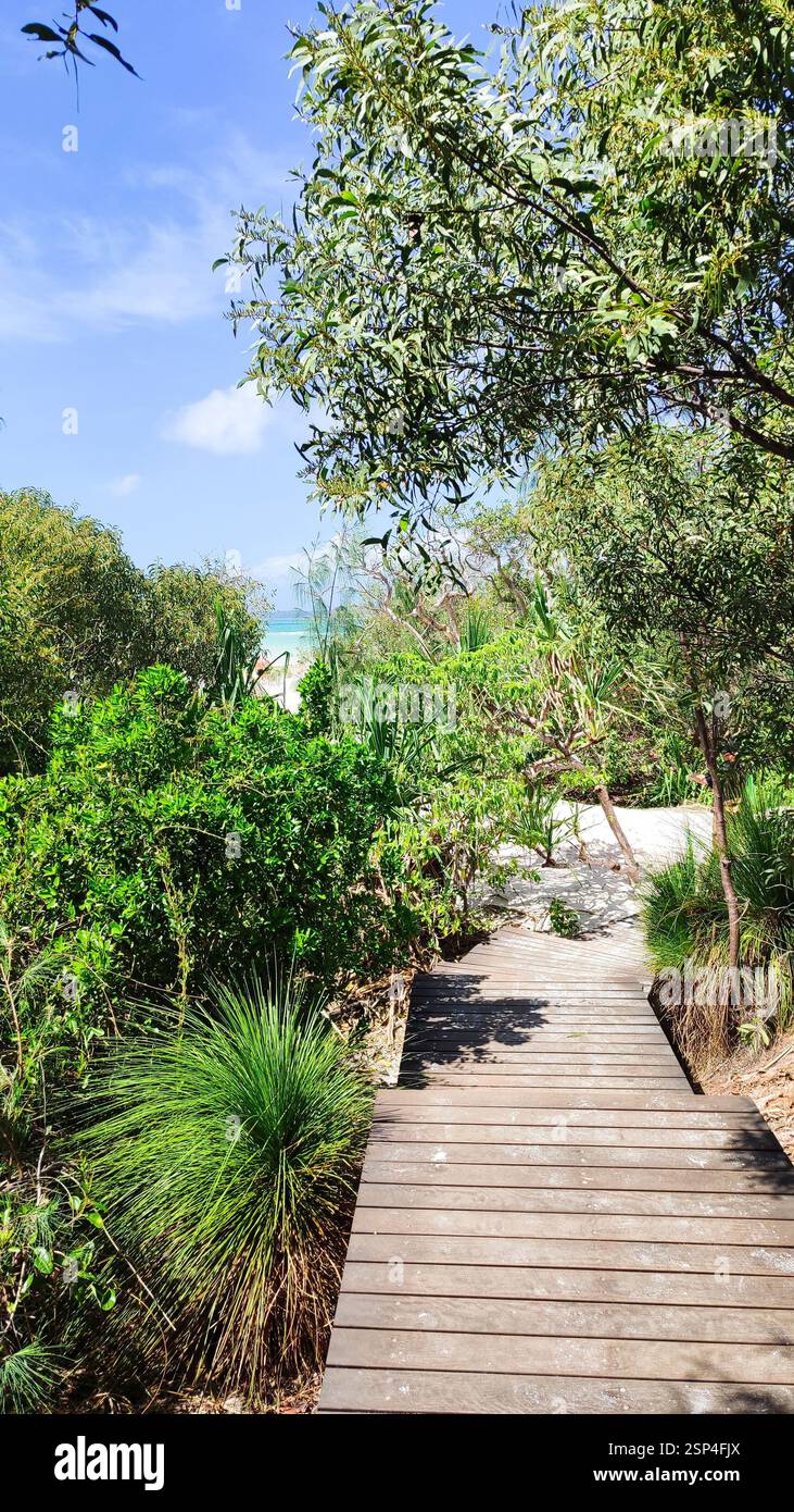 Wooden boardwalk leading to a beach on Hamilton Island. Sunny beach ...
