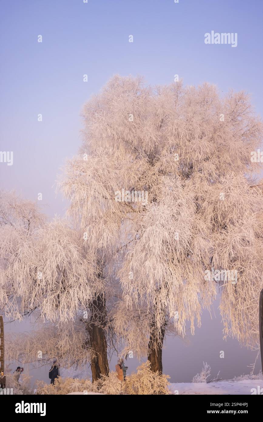 Rime scenery in Jilin City, northeast China's Jilin Province, 11 ...