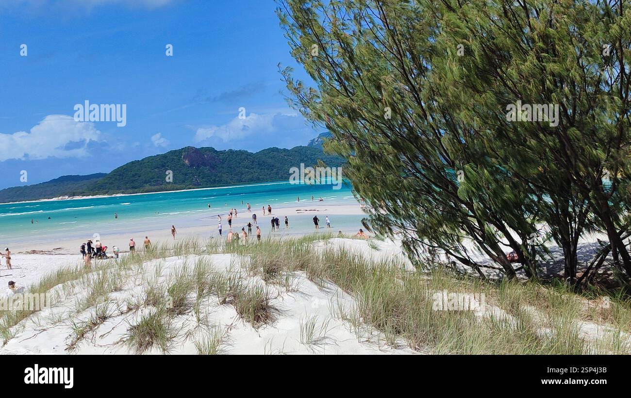 Hamilton Island is a popular tourist destination in Australia. The ...