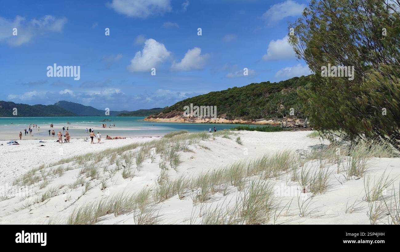 Hamilton Island is a popular tourist destination in the Whitsundays ...