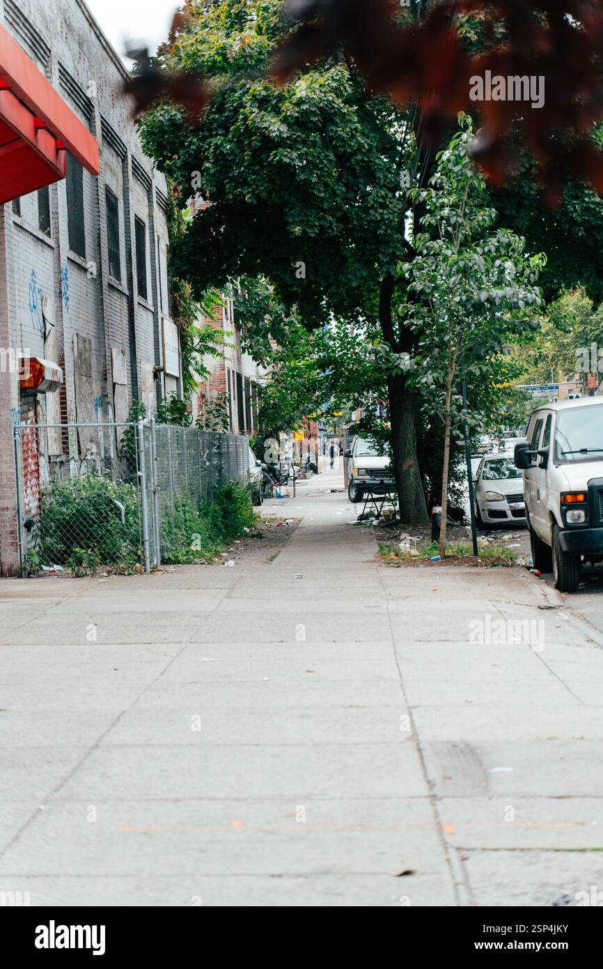 Diverse trees line sidewalk hi-res stock photography and images - Alamy
