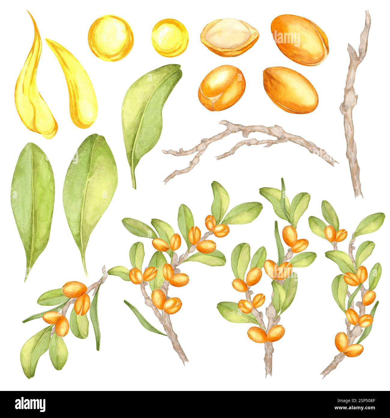 Oil patterns Cut Out Stock Images & Pictures - Alamy