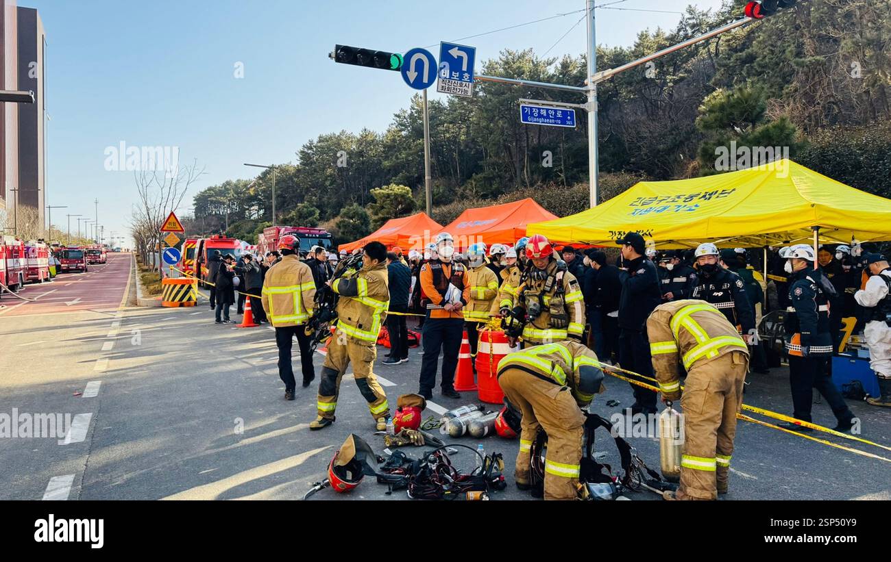 Busan. 14th Feb, 2025. This photo taken with a moblie phone shows ...