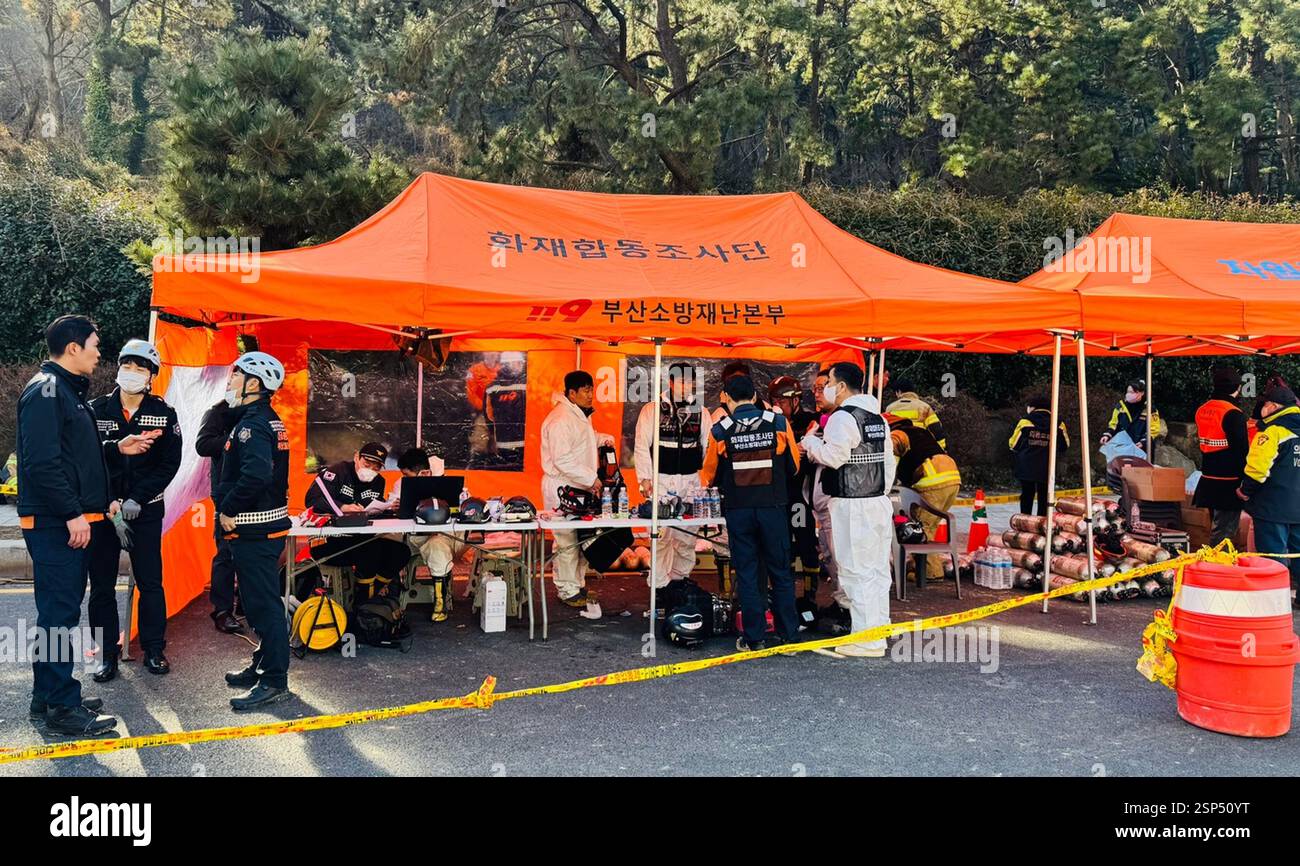 Busan. 14th Feb, 2025. This photo taken with a moblie phone shows ...