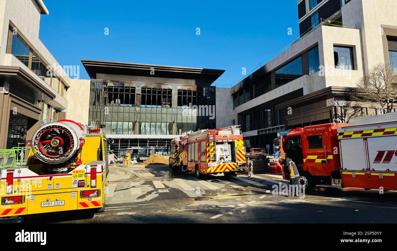 Busan. 14th Feb, 2025. This photo taken with a moblie phone shows ...