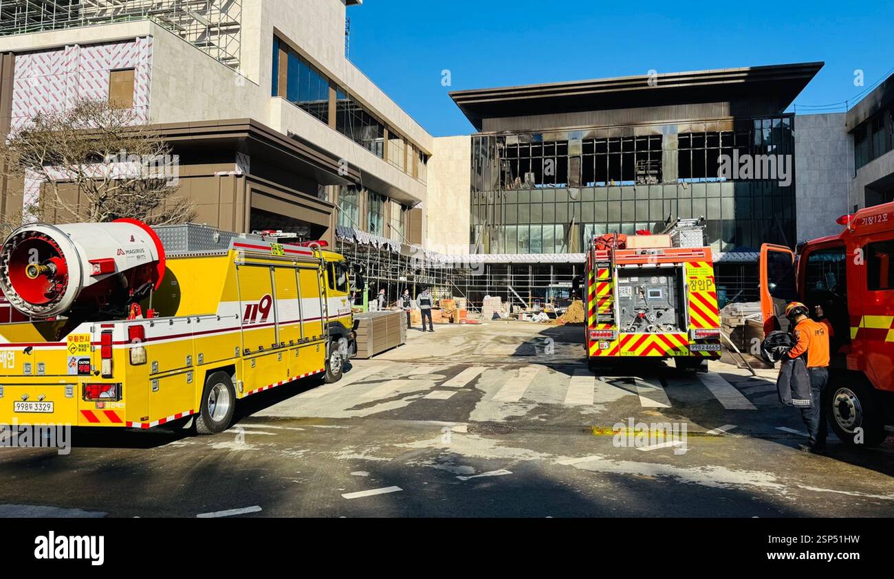 Busan. 14th Feb, 2025. This photo taken with a moblie phone shows ...