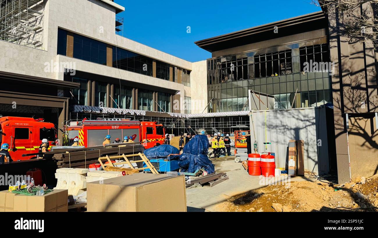 Busan. 14th Feb, 2025. This photo taken with a moblie phone shows ...