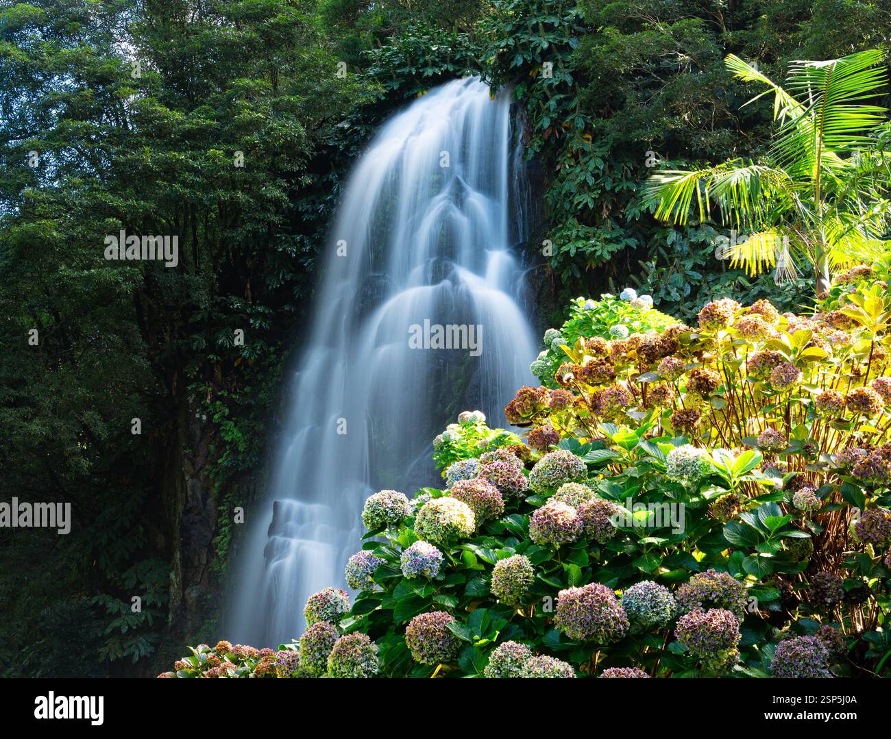 Ribeira dos Caldeirões is a stunning natural park on São Miguel Island ...