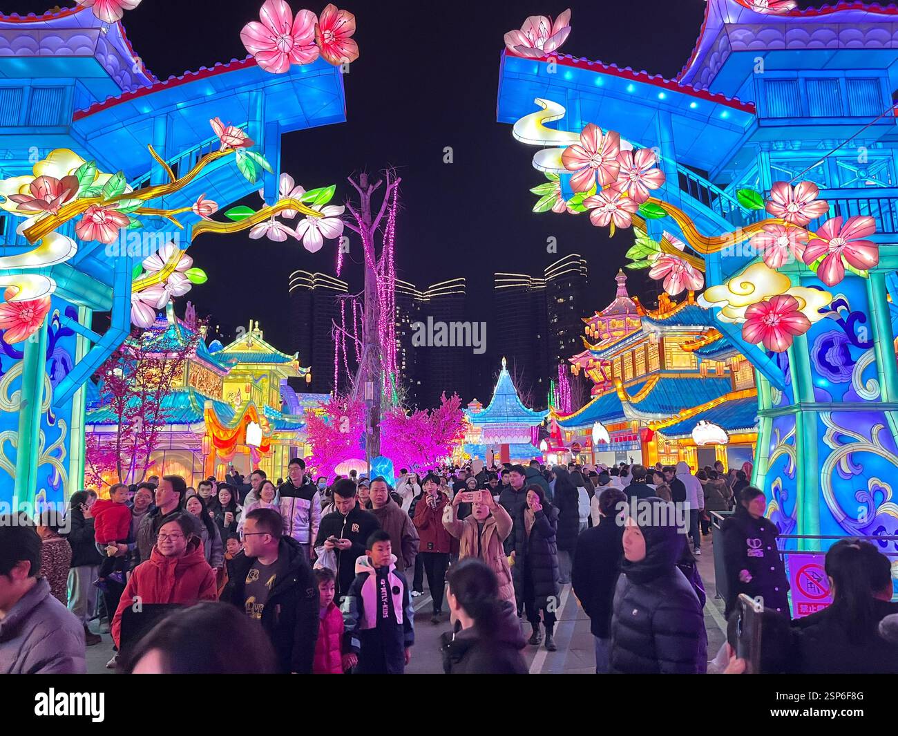 Tourists flock to the Chengdu international panda lantern fair in ...