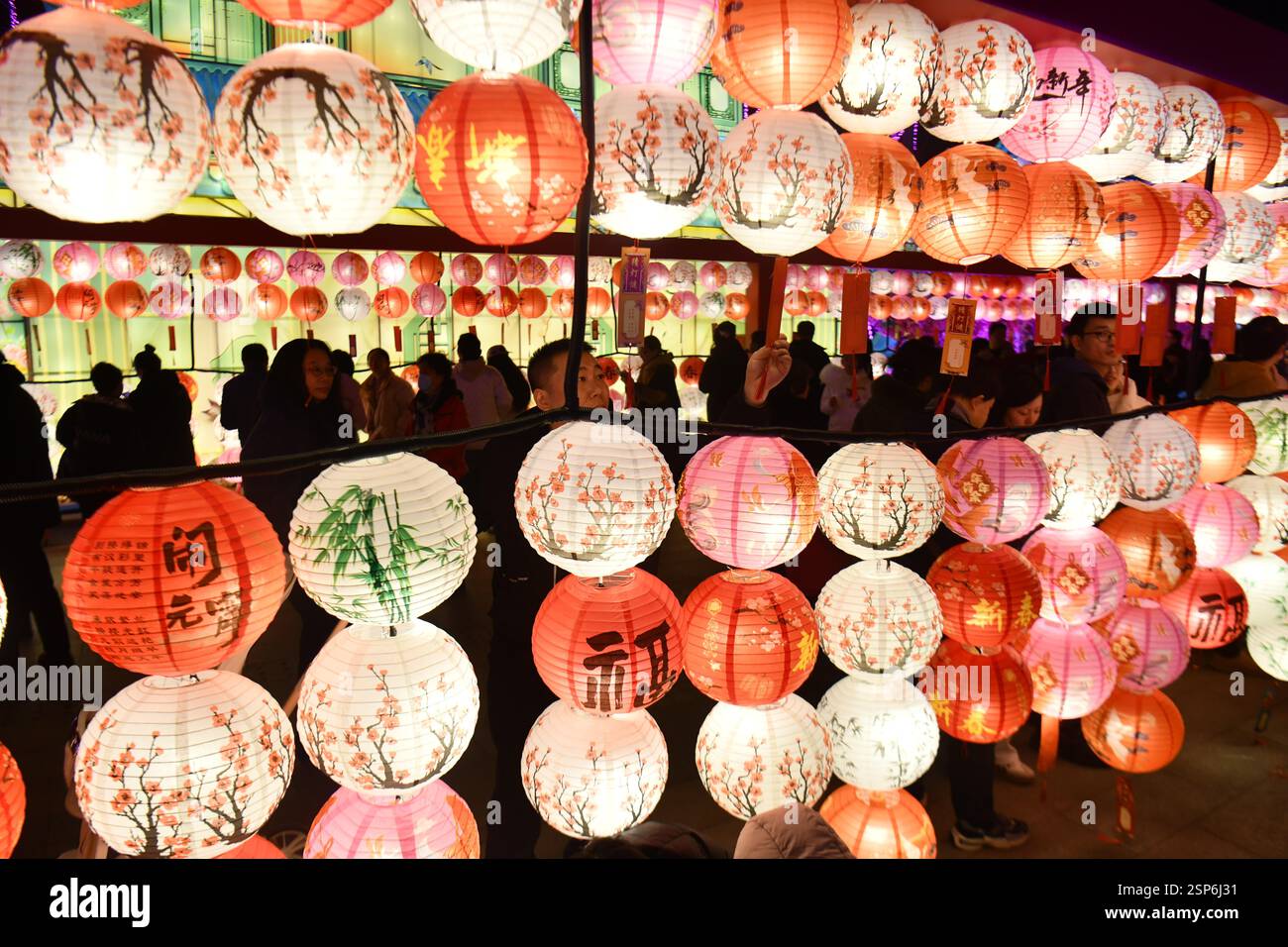 Tourists flock to the Chengdu international panda lantern fair in ...