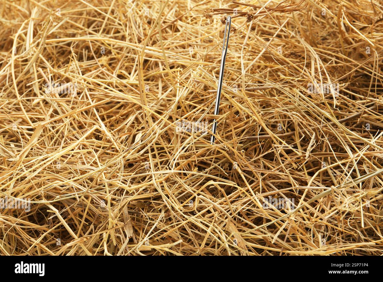Sewing needle sticking from haystack, closeup view Stock Photo - Alamy