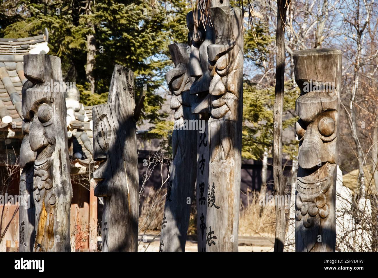 Totem poles, carved wooden figures with exaggerated features, represent ...