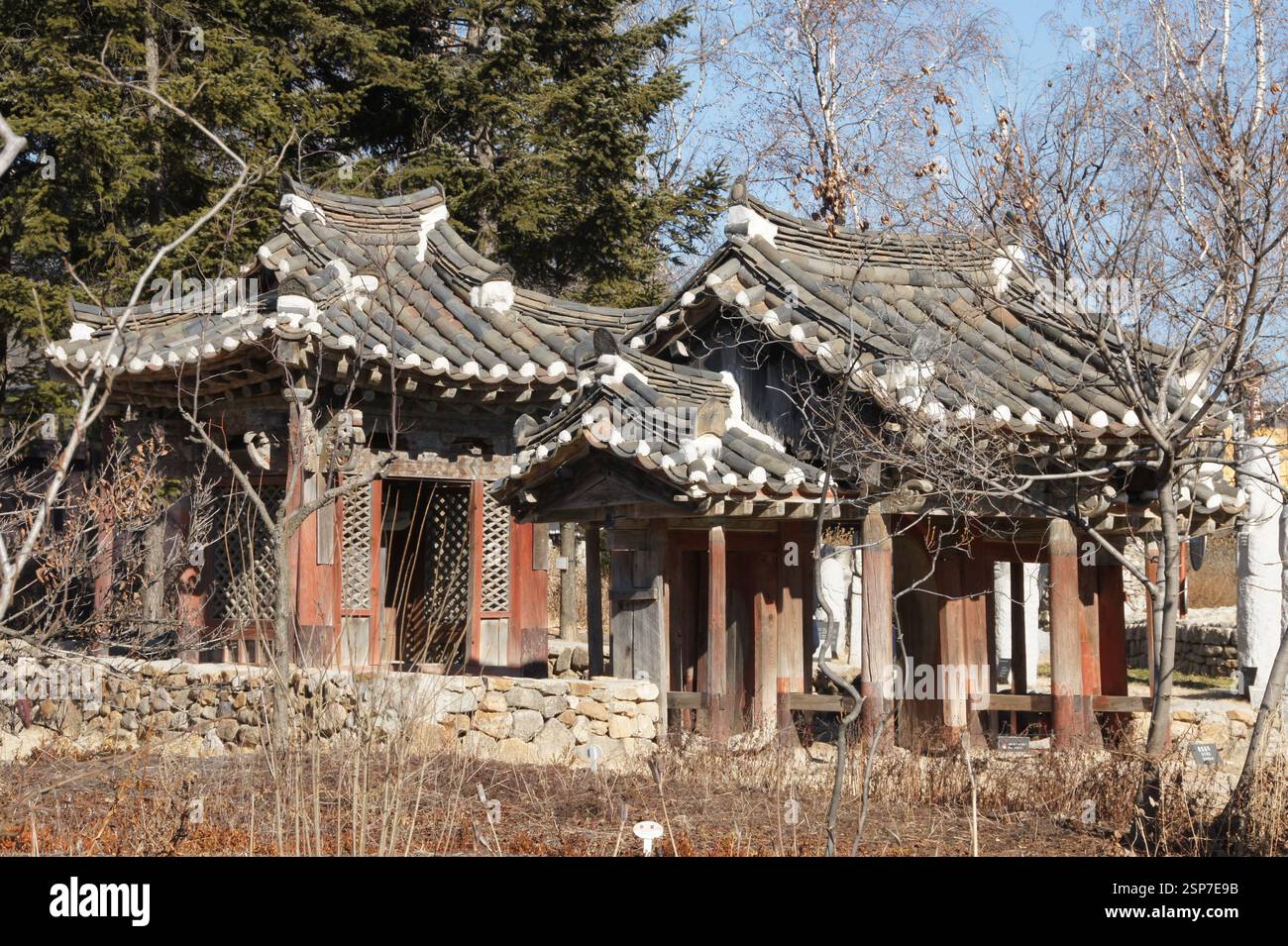 Korean Pavilion. Hanok architecture with tiled roofs and wooden ...