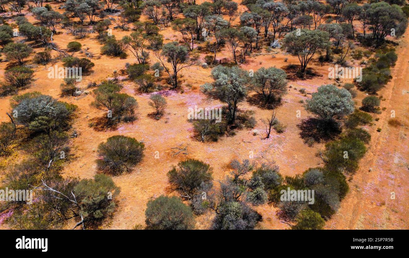 The Australian outback and it´s vegetation in the dry season, seen from ...