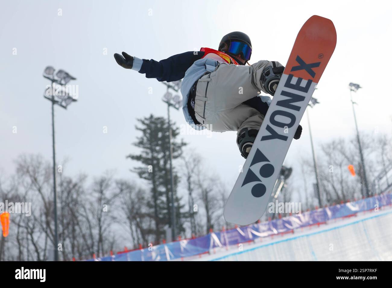 Harbin, China. 12th Feb, 2025. Sena Tomita(JPN) Snowboarding : Women's ...