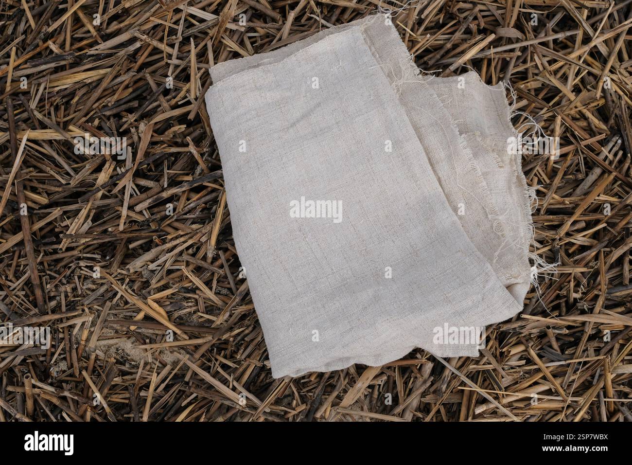 Folded hemp fabric. Textures of cloth and dry reed stems. Ecological ...