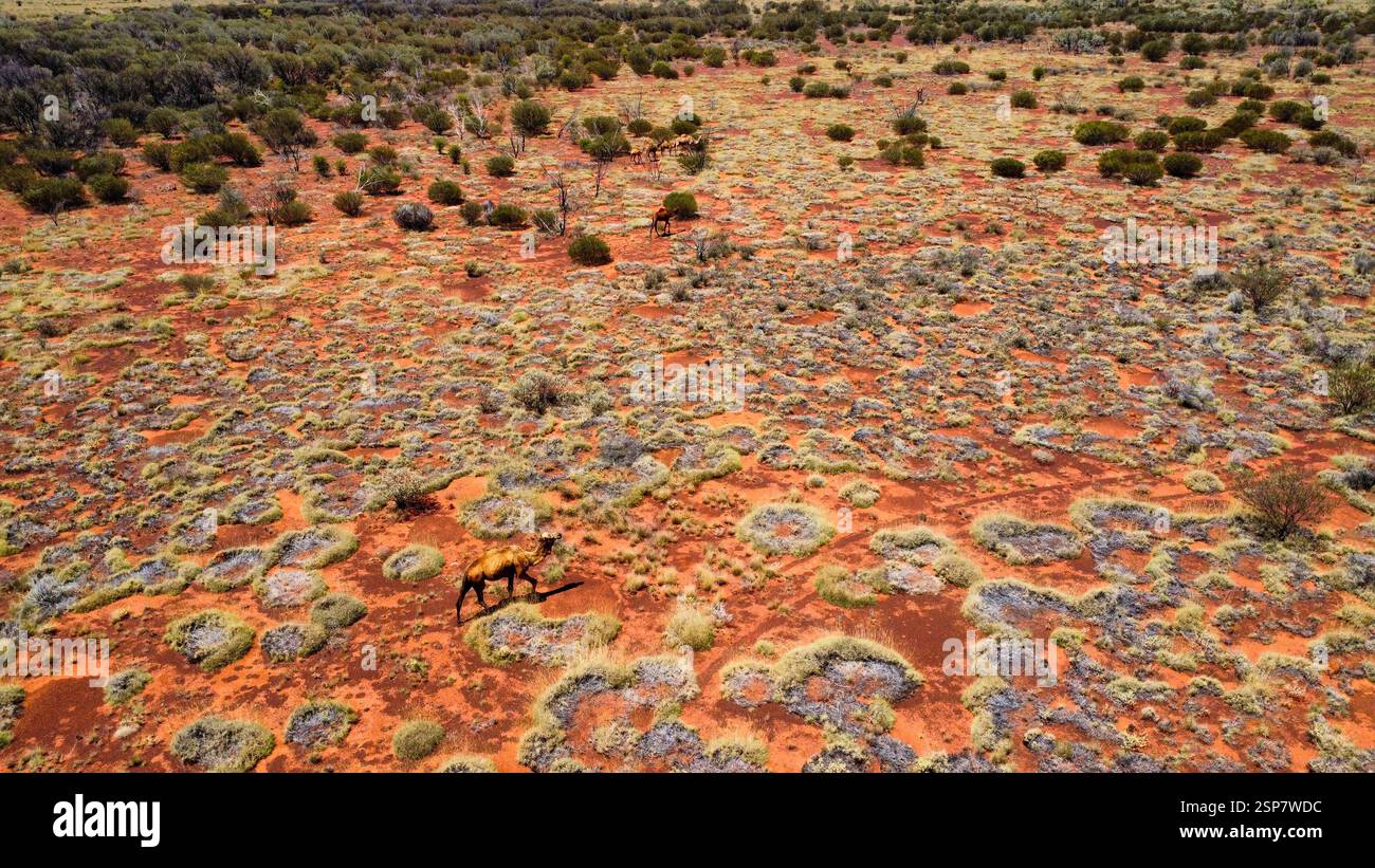 The Australian outback and it´s vegetation in the dry season, seen from ...