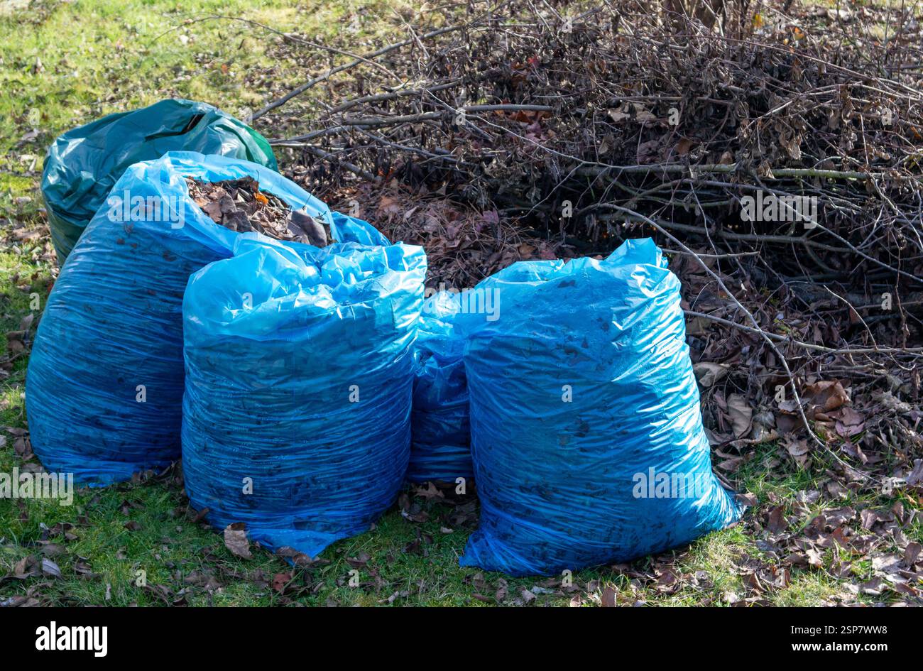 Blue garbage bags with garden waste in spring for recycling Stock Photo ...