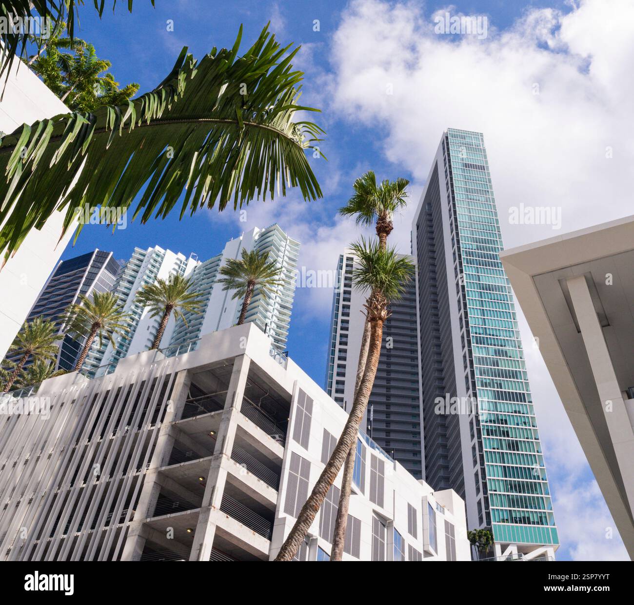 Miami florida high rise windows hi-res stock photography and images - Alamy