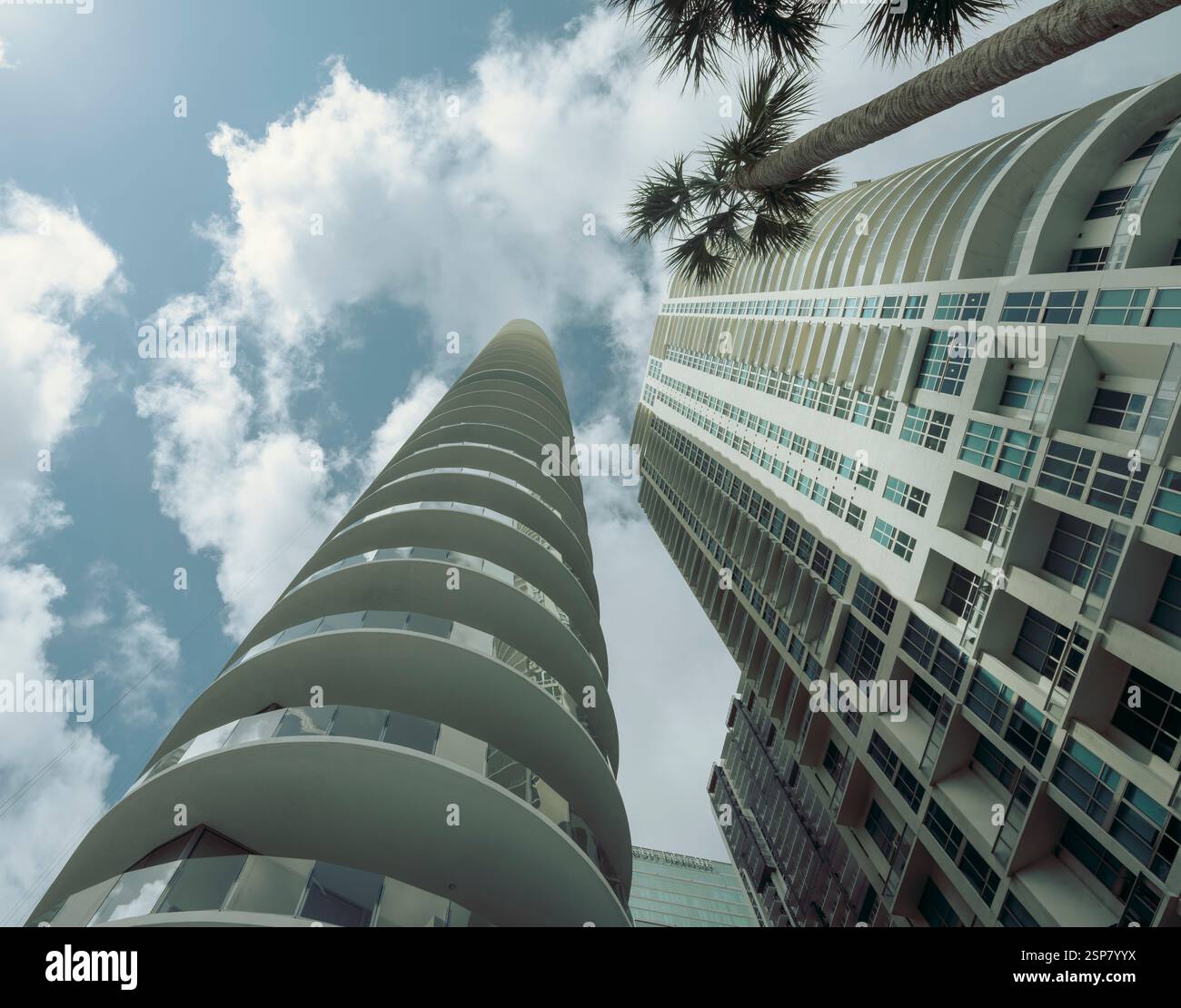 modern office building in miami Florida palms Stock Photo - Alamy