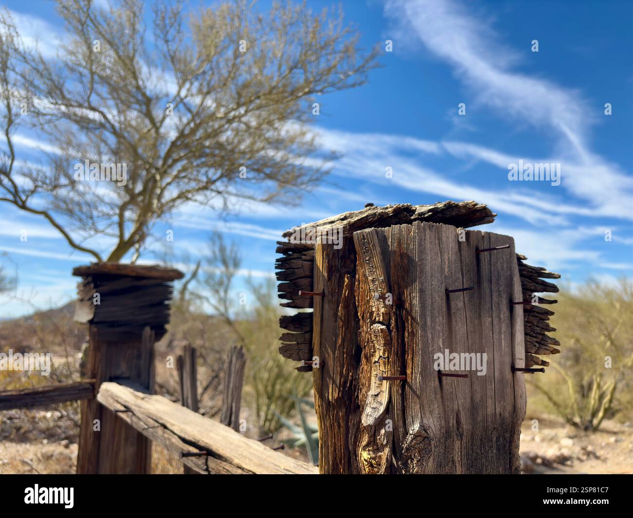 Weathered wooden fence post with rusted nails in desert cemetery Stock ...