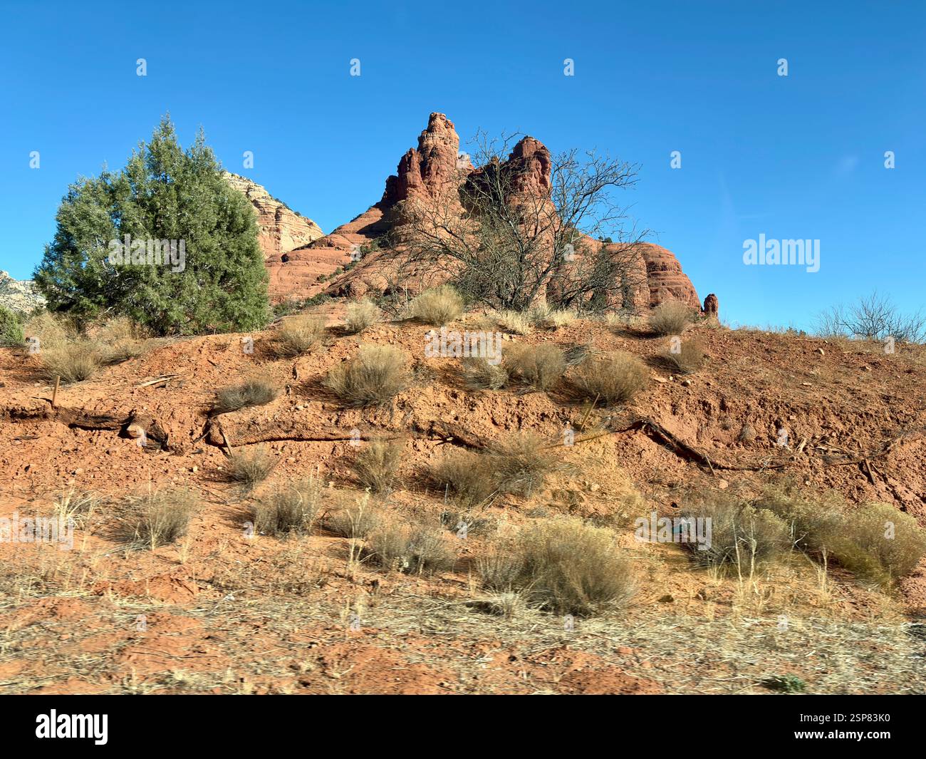 Red rock formation in Sedona, Arizona, with desert vegetation Stock ...