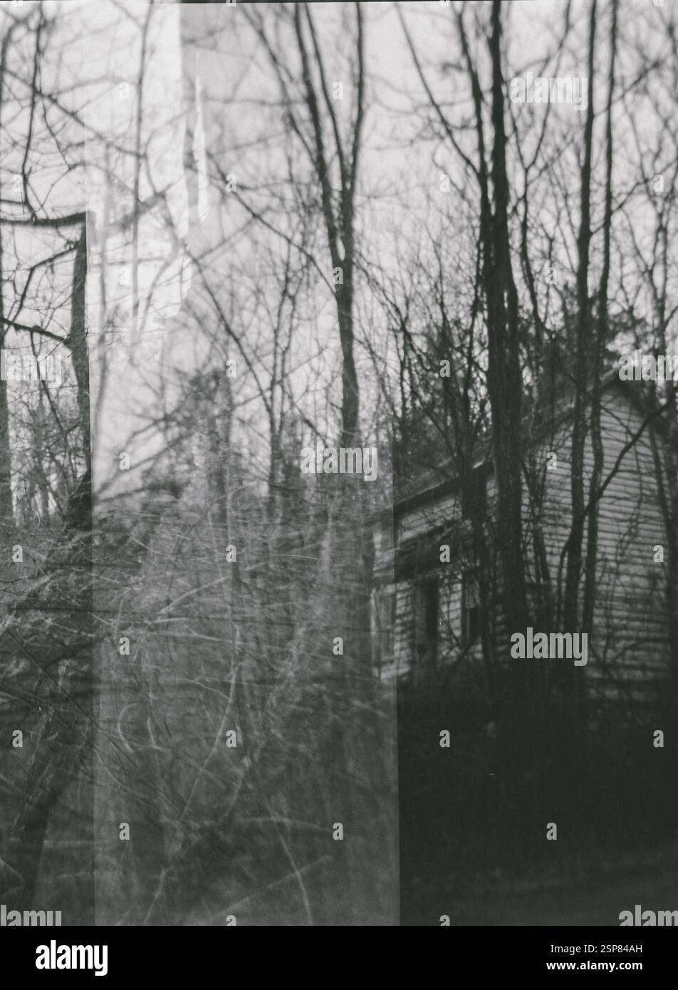 Layers of Multiple Nature Scenes Stock Photo - Alamy