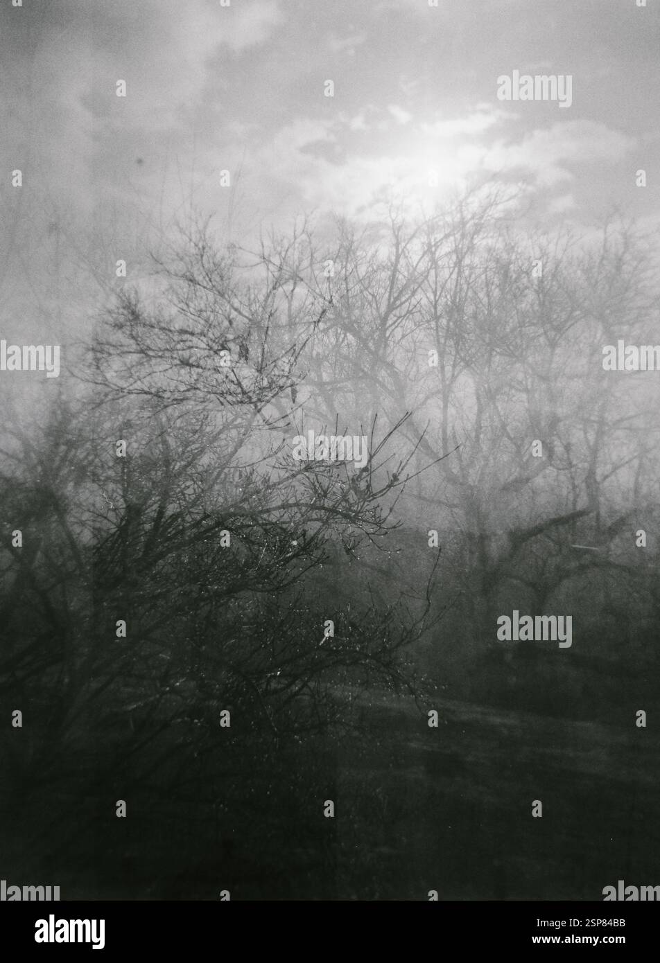 Layers of Multiple Nature Scenes Stock Photo - Alamy