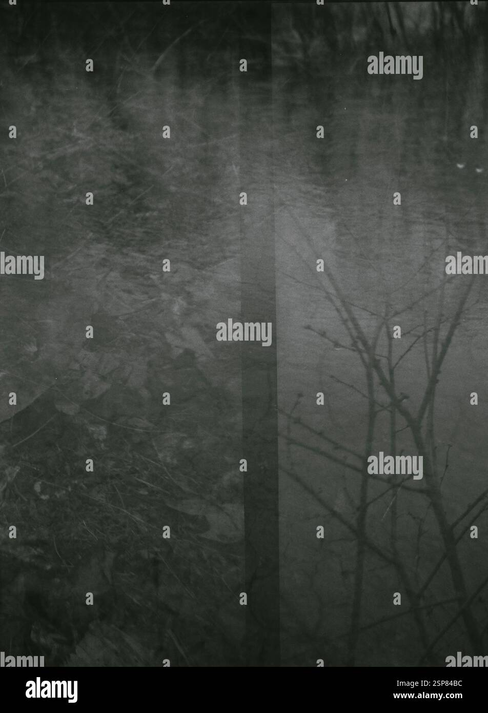 Layers of Multiple Nature Scenes Stock Photo - Alamy