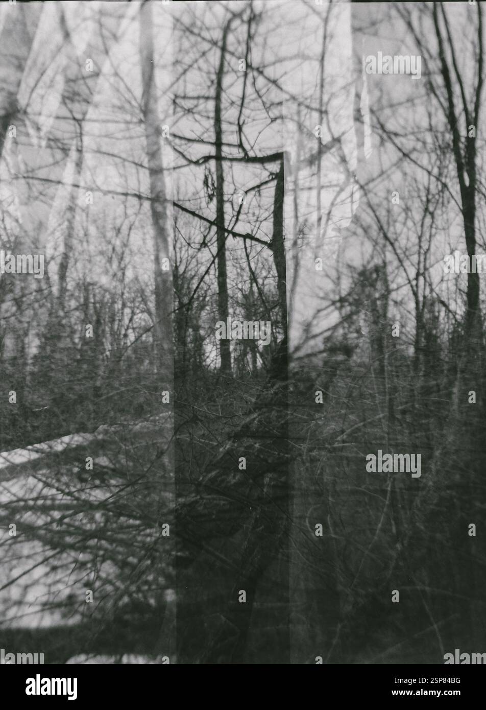 Layers of Multiple Nature Scenes Stock Photo - Alamy