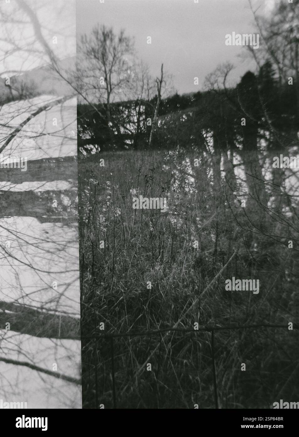 Layers of Multiple Nature Scenes Stock Photo - Alamy