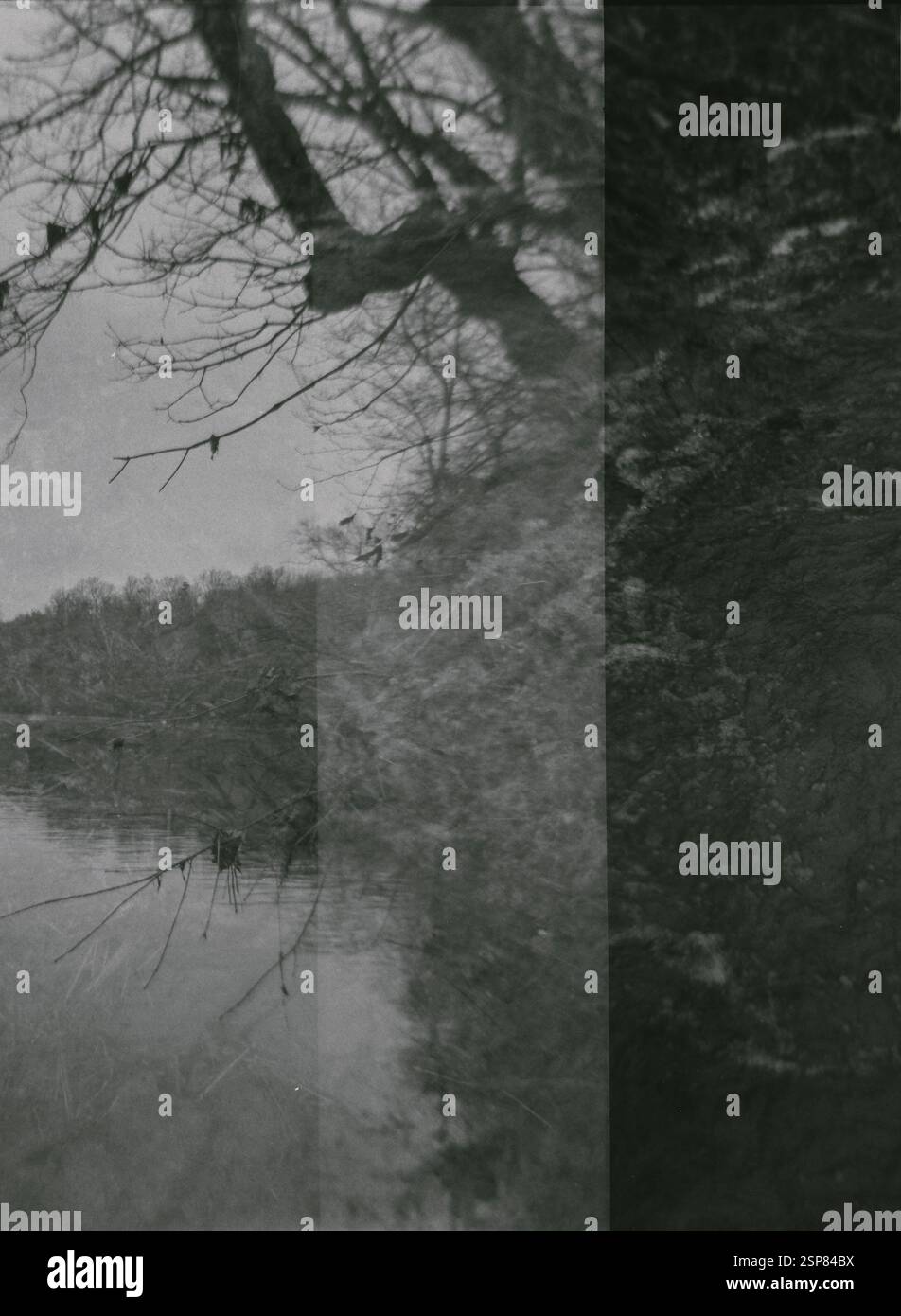 Layers of Multiple Nature Scenes Stock Photo - Alamy