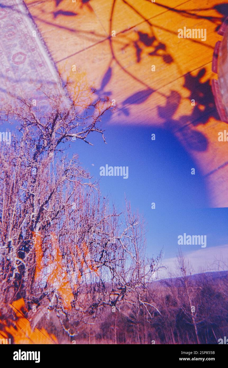 Abstract Layers of Nature in Analog Stock Photo - Alamy