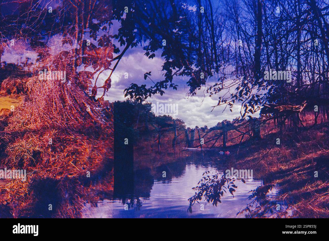 Abstract Layers of Nature in Analog Stock Photo - Alamy