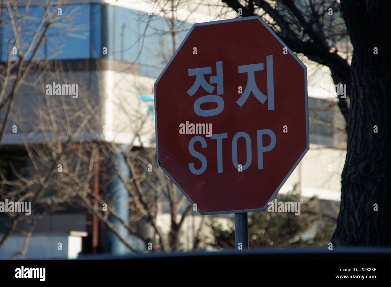 The octagonal red sign with white lettering warns drivers to stop. "정지 ...