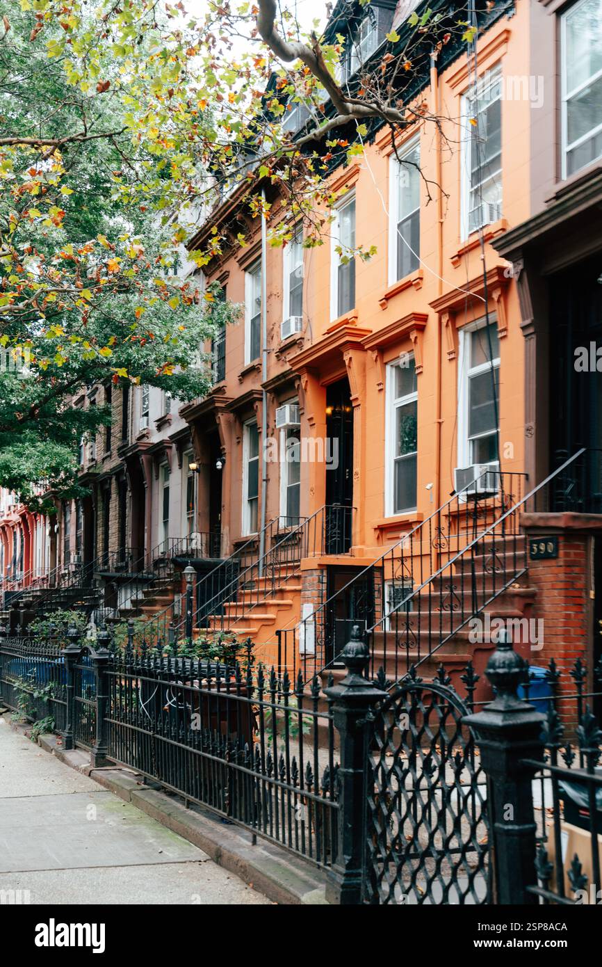 Vibrant autumn colors on brownstone buildings in New York City d Stock ...
