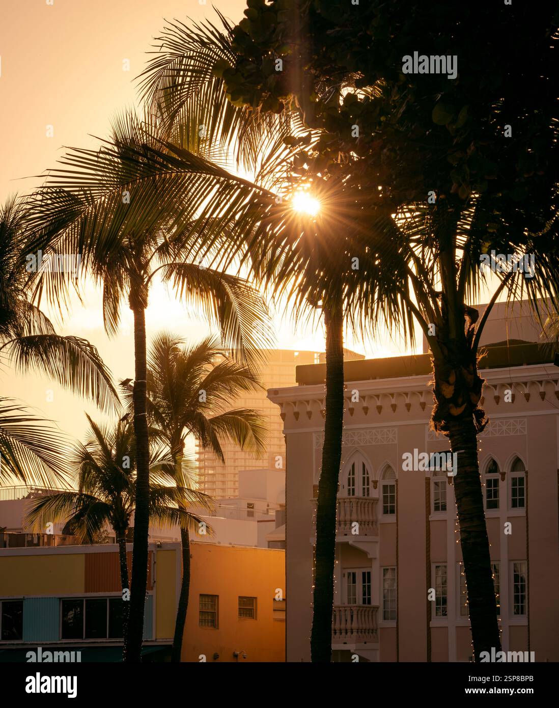 Miami florida summer sunset panorama hi-res stock photography and ...