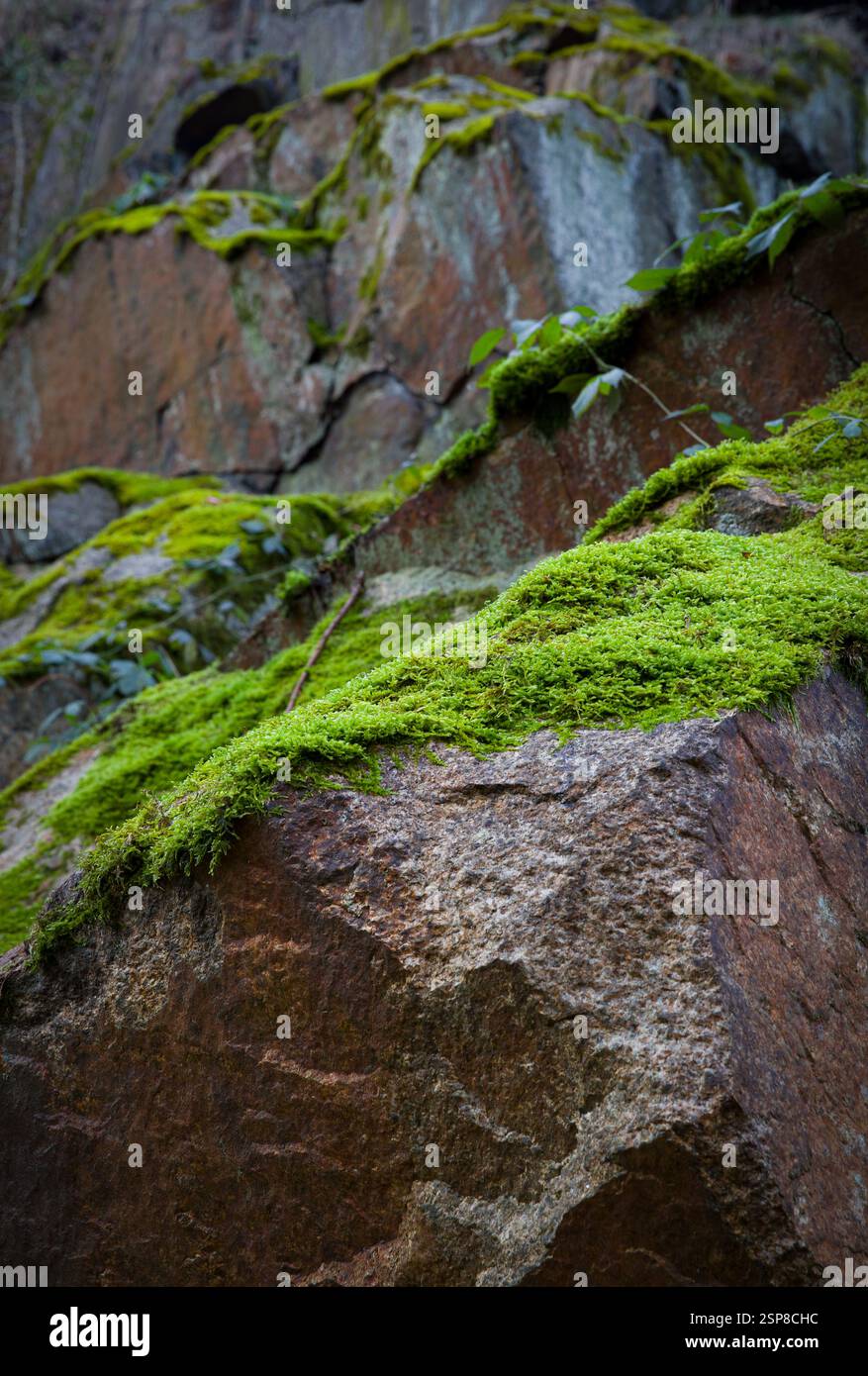 Colorful rock texture in hi-res stock photography and images - Alamy